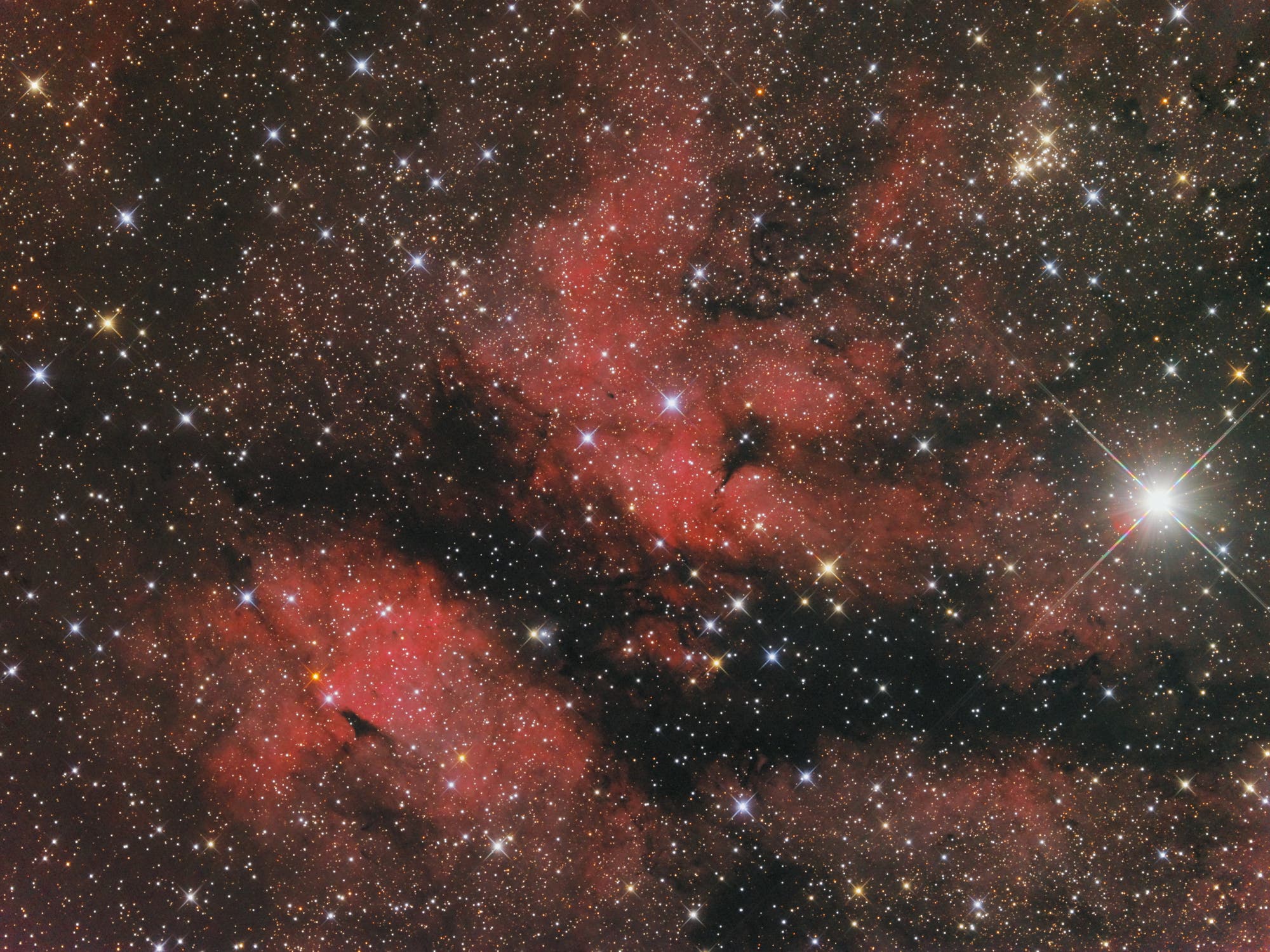 IC 1318 - Spektrum der Wissenschaft